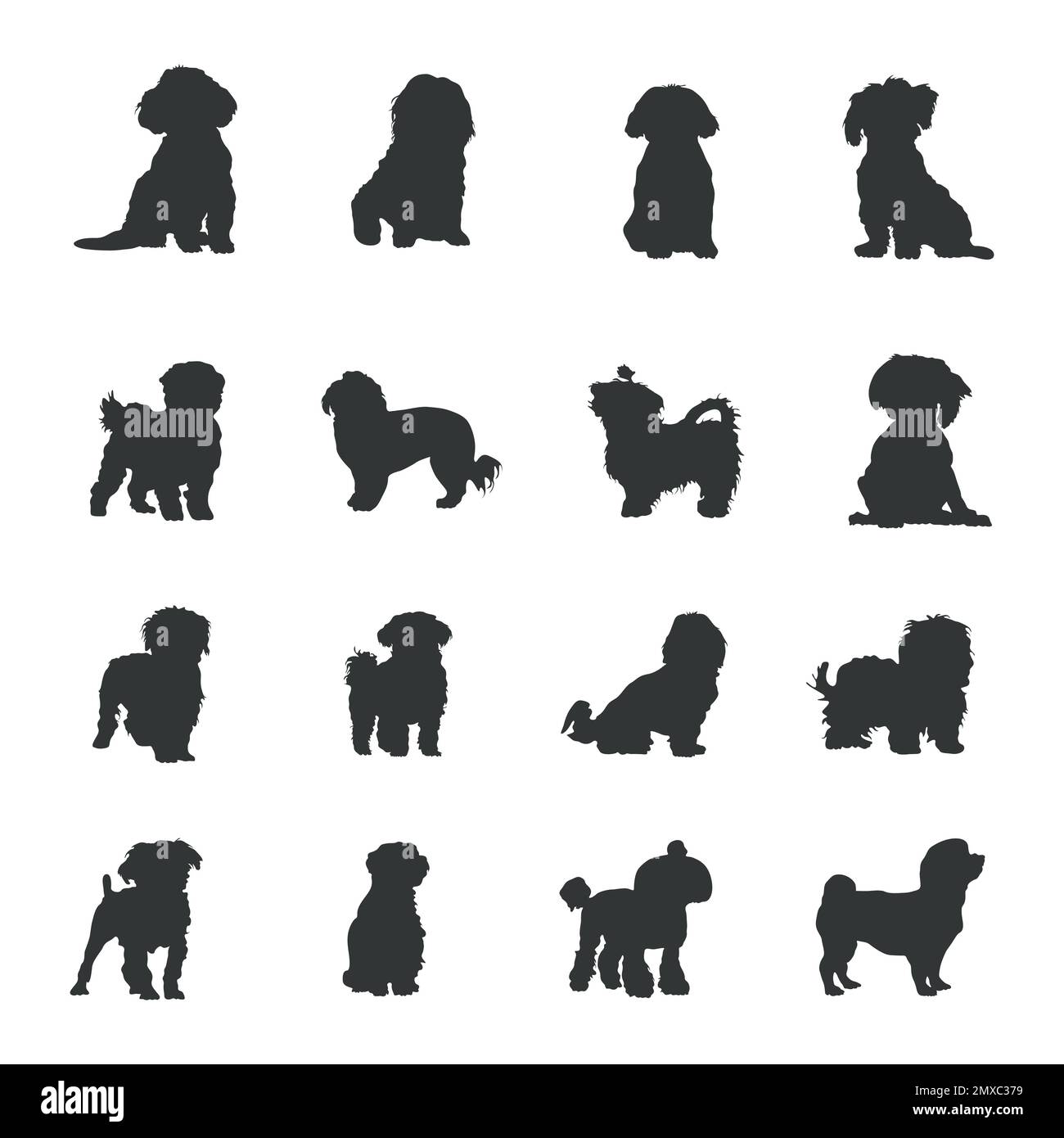 Maltese dog silhouettes Stock Vector Image & Art - Alamy