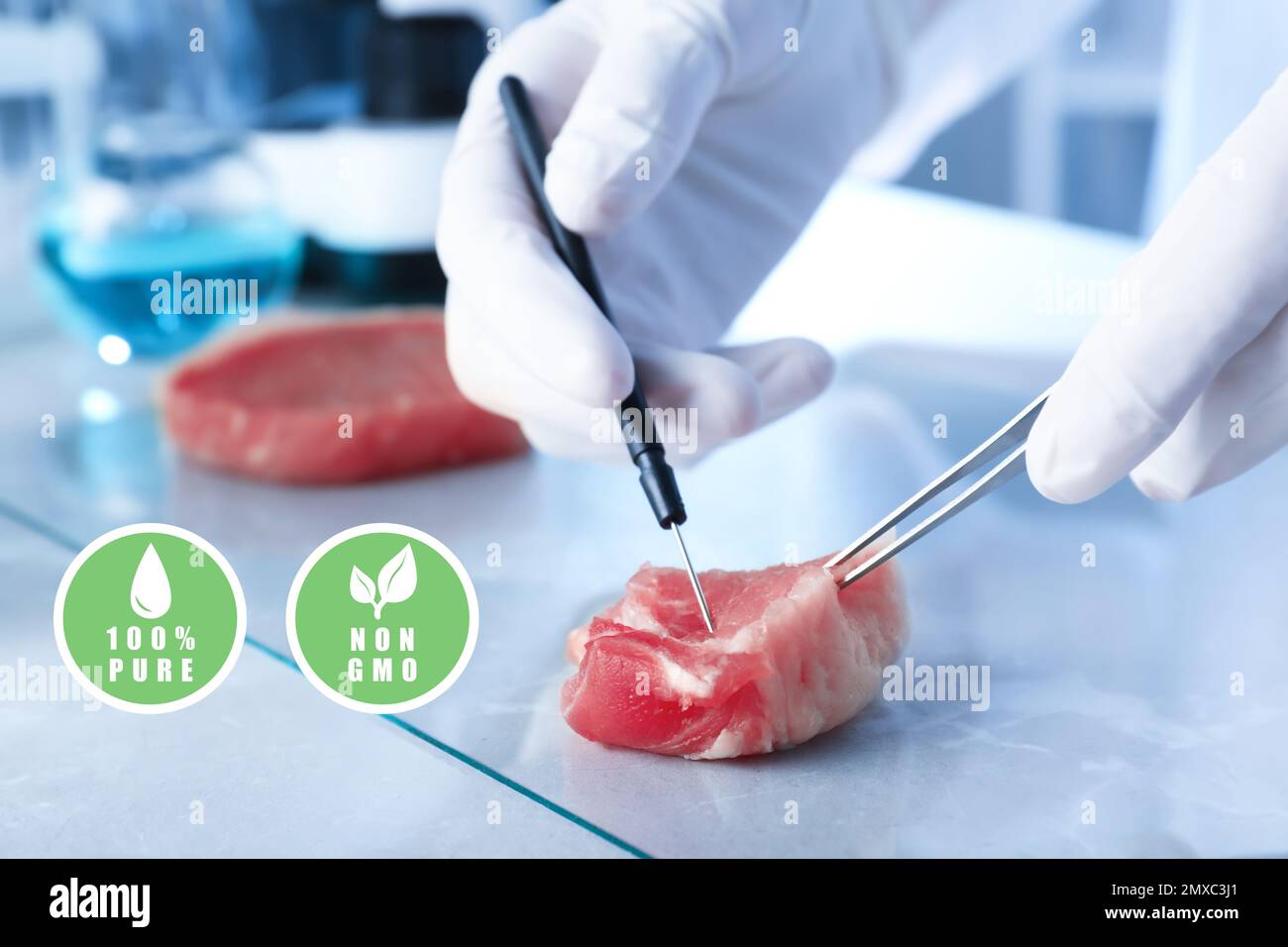 Scientist inspecting meat sample in laboratory, closeup. Food quality ...