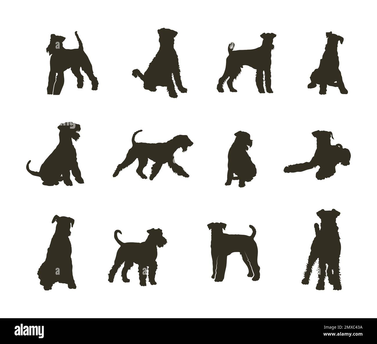 Set of dog breeds silhouettes hi-res stock photography and images - Alamy