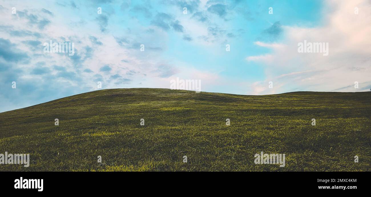 Beautiful field and sky. Clean photo. Clear horizon. Screensaver ...
