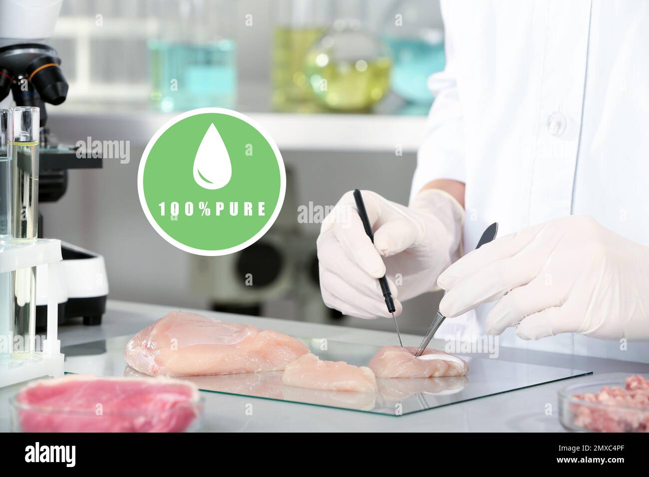 Scientist inspecting meat sample in laboratory, closeup. Food quality ...