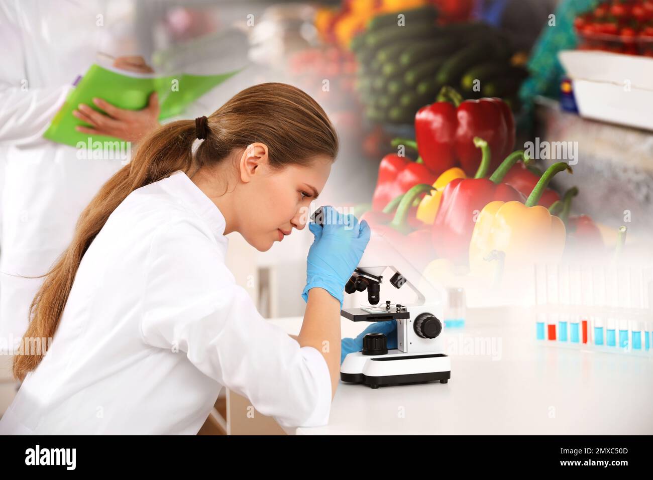 Scientist using modern microscope at table in laboratory. Food quality ...