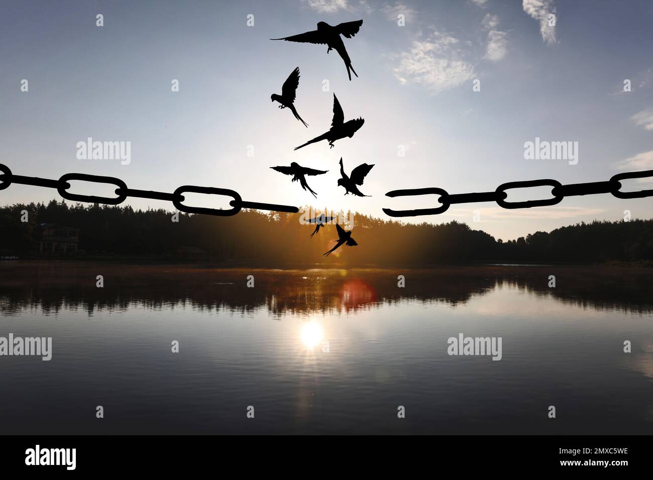 Broken chain bird hi-res stock photography and images - Alamy