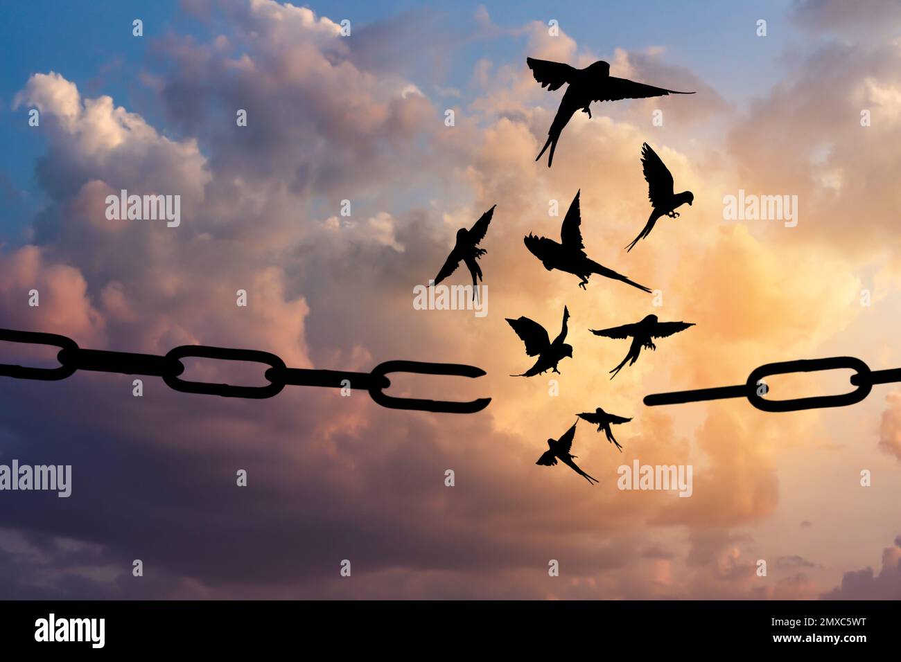 Freedom concept. Silhouettes of broken chain and birds flying in blue ...