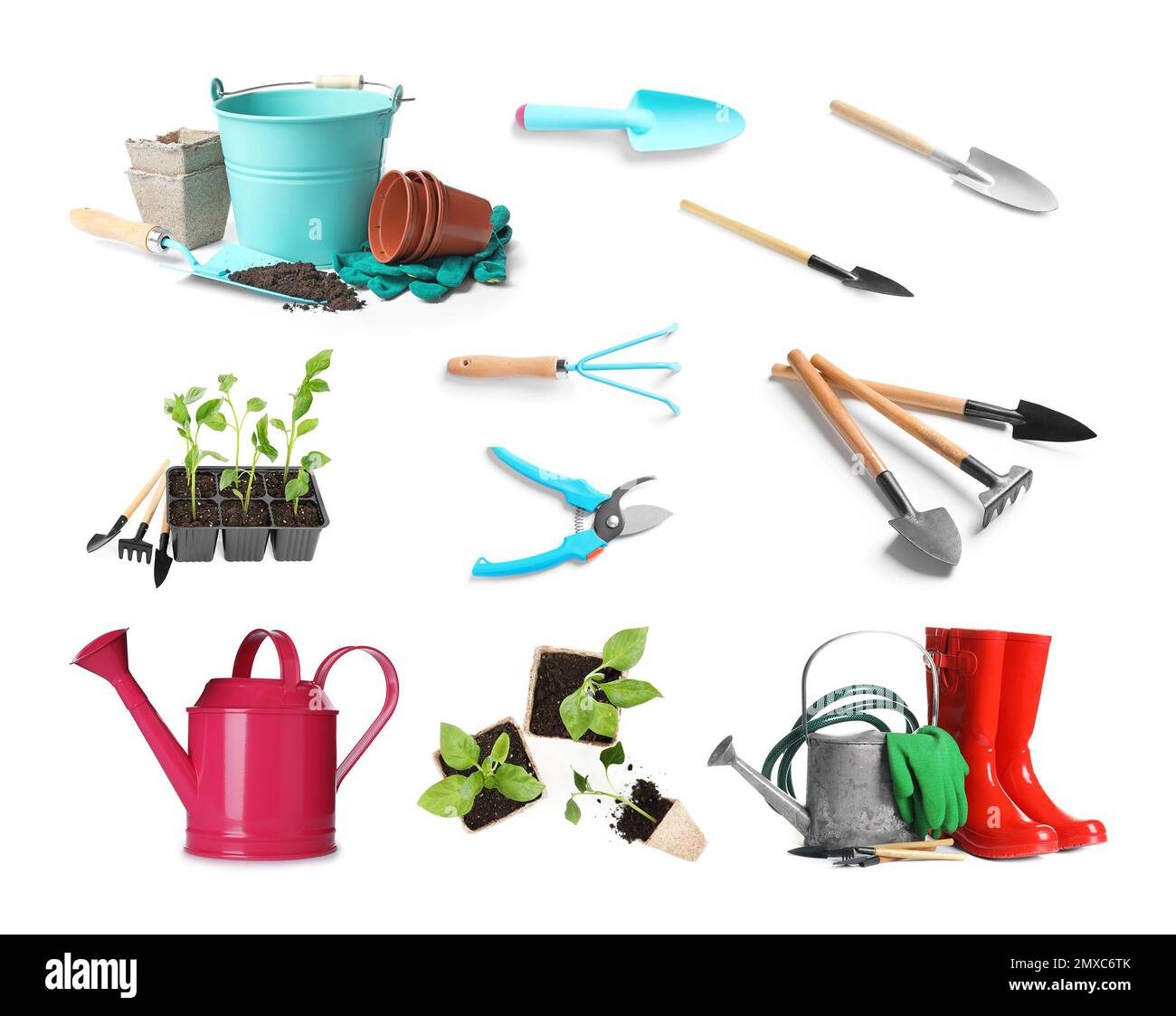 Set of gardening tools and vegetable seedlings on white background ...