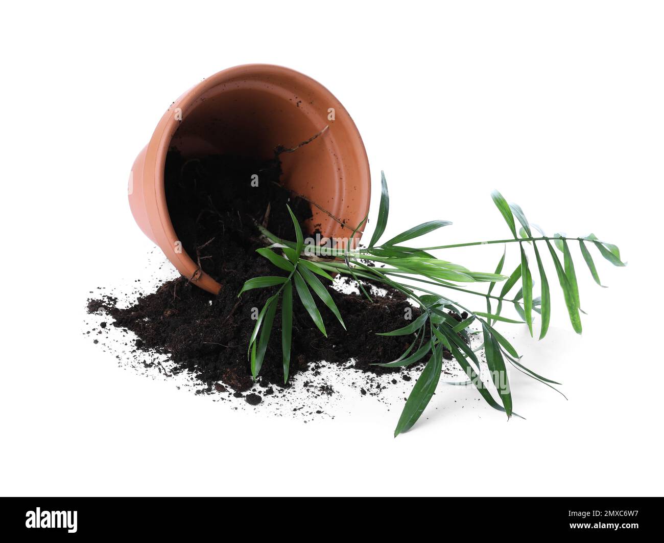 Ceramic pot overturned hi-res stock photography and images - Alamy