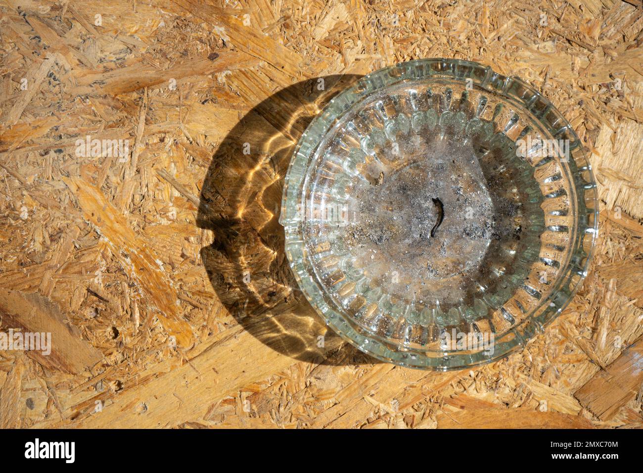 Get astray hi-res stock photography and images - Alamy