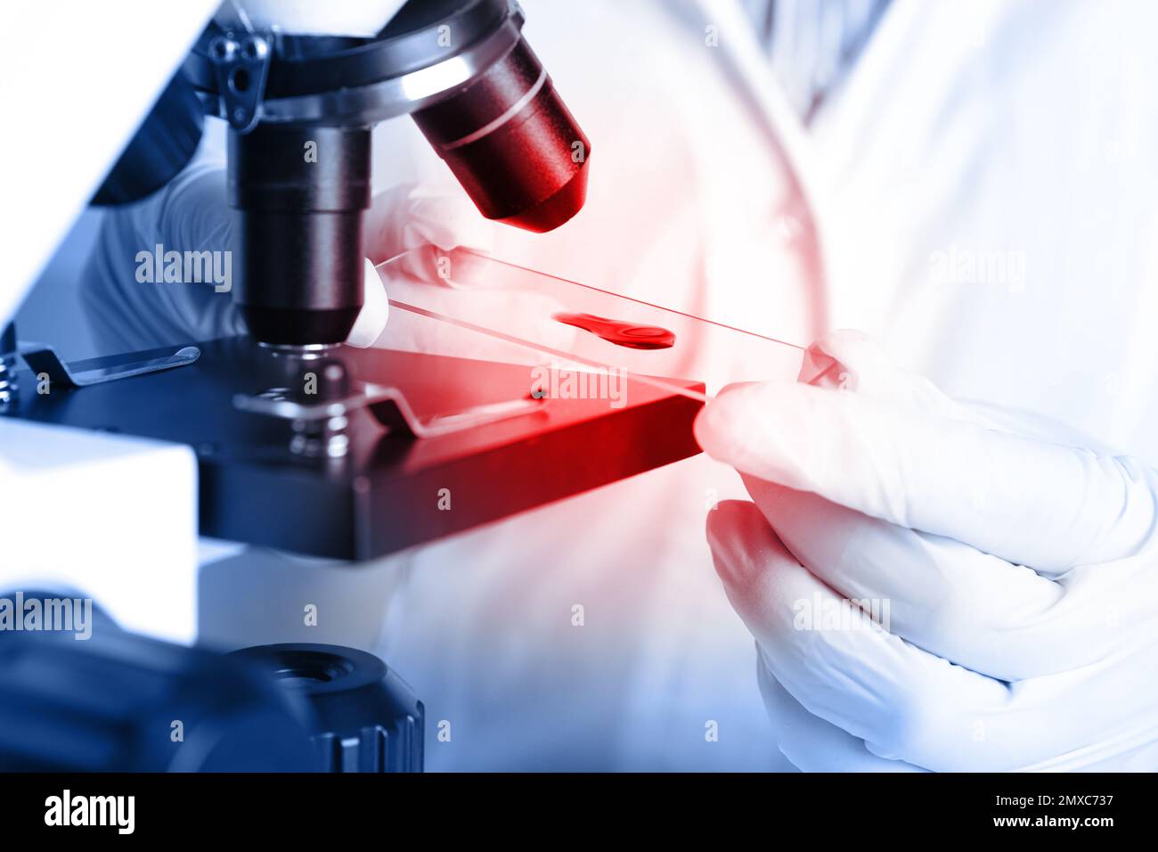 Scientist examining blood sample with microscope, closeup. Laboratory ...