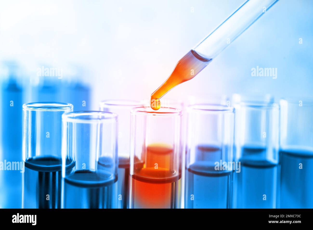 Dripping sample into test tube with liquid, closeup. Laboratory ...