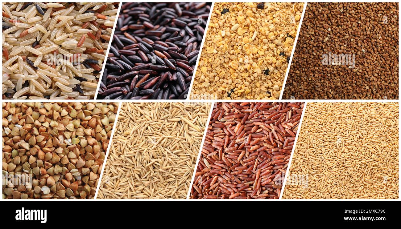 Collection of different grains and cereals as background. Banner design ...