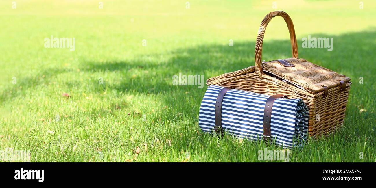 Picnic basket with blanket on green lawn in garden, space for text ...