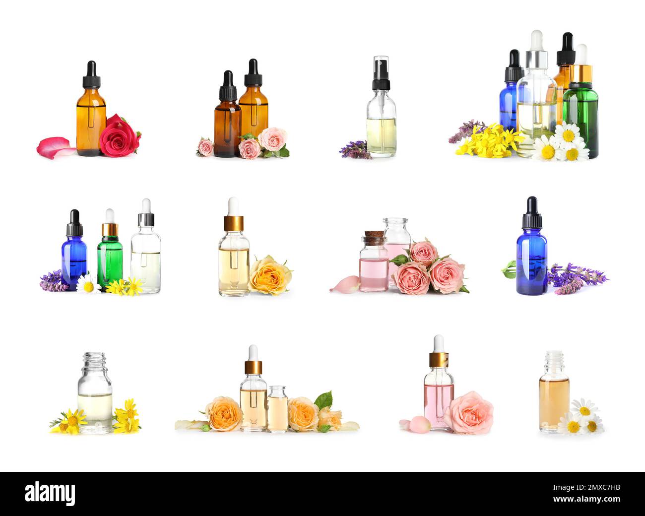 Set with bottles of essential oils and fresh flowers on white ...