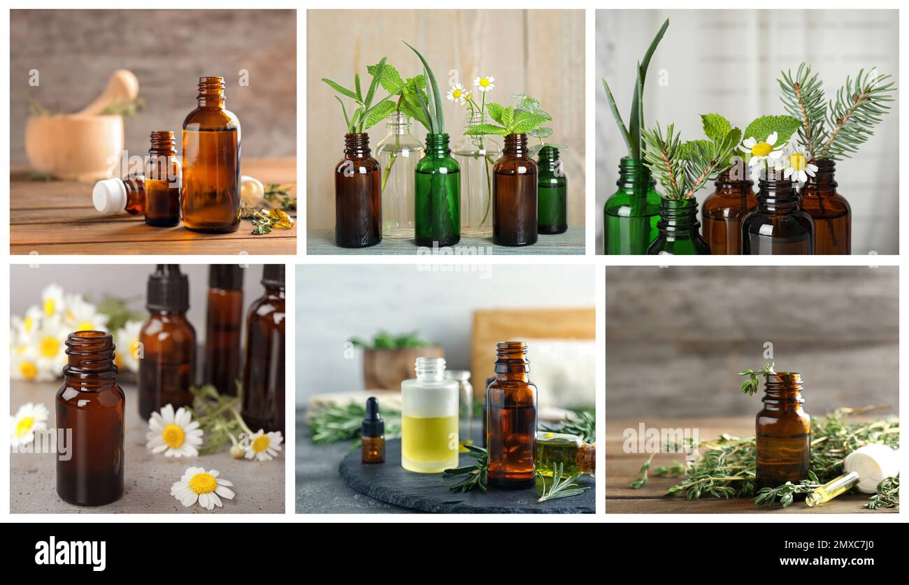 Collage of different photos with essential oils and plants. Banner ...