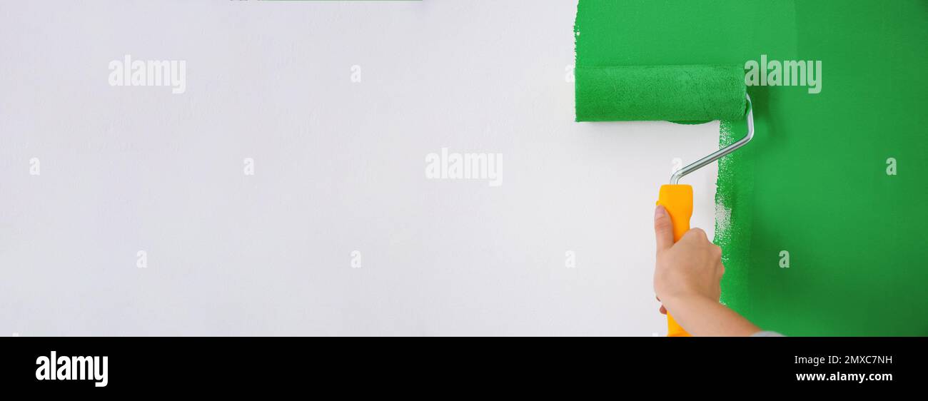 Professional decorator painting white wall with green dye, space for ...