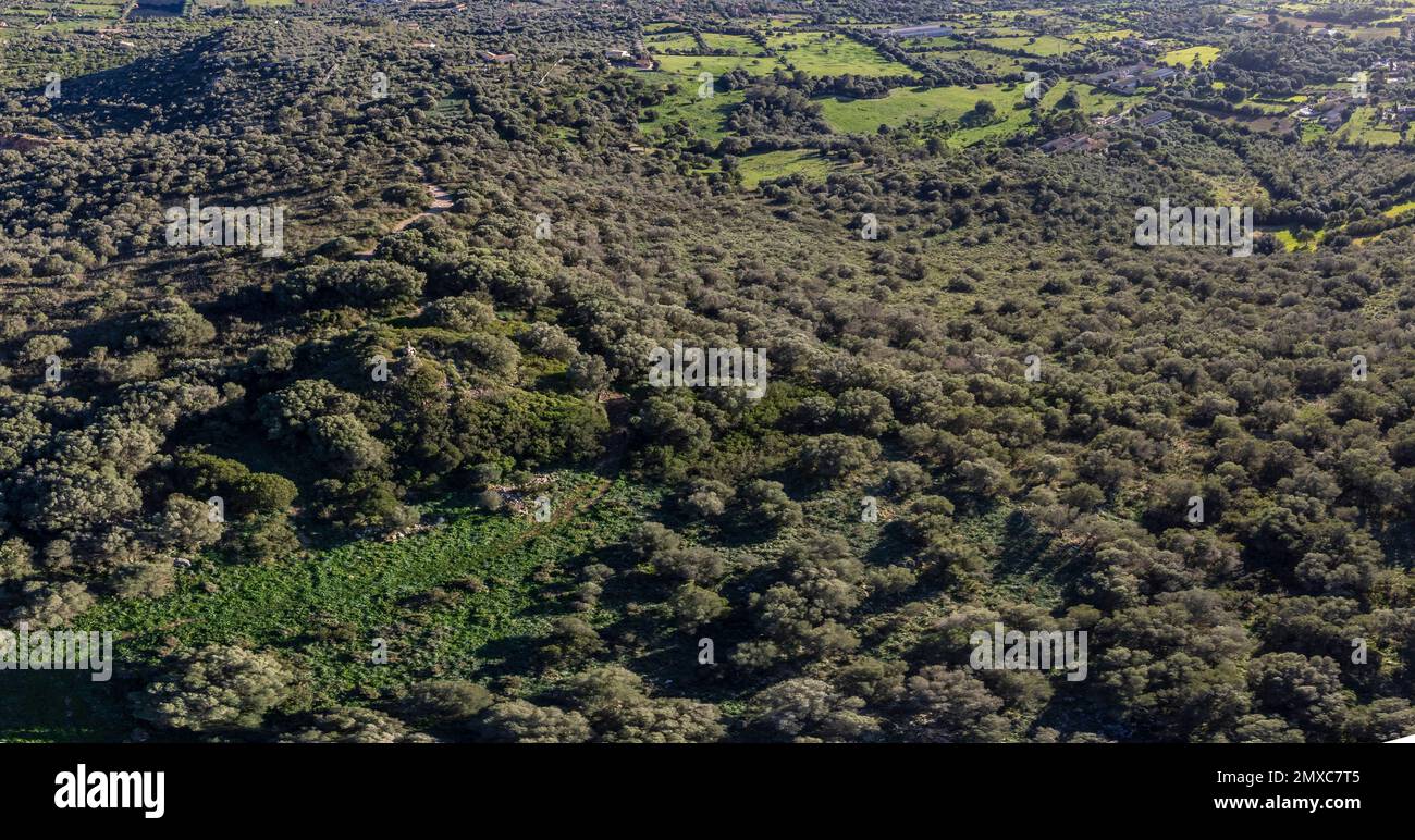 Punta de Ses Talaies, center of the battlefield, Son Carrio, location ...