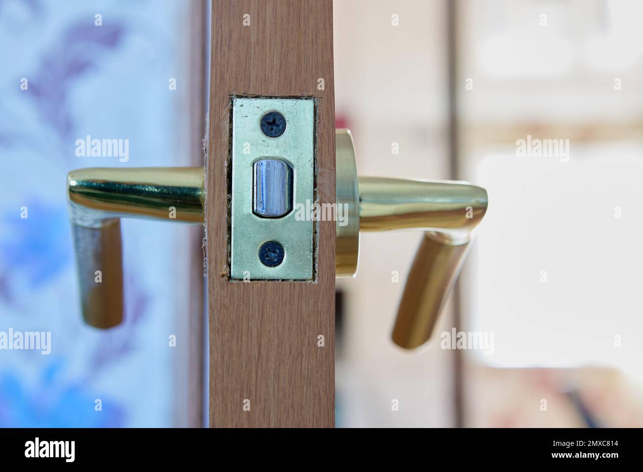 Lever door handle with latch is installed on an interior wooden door ...