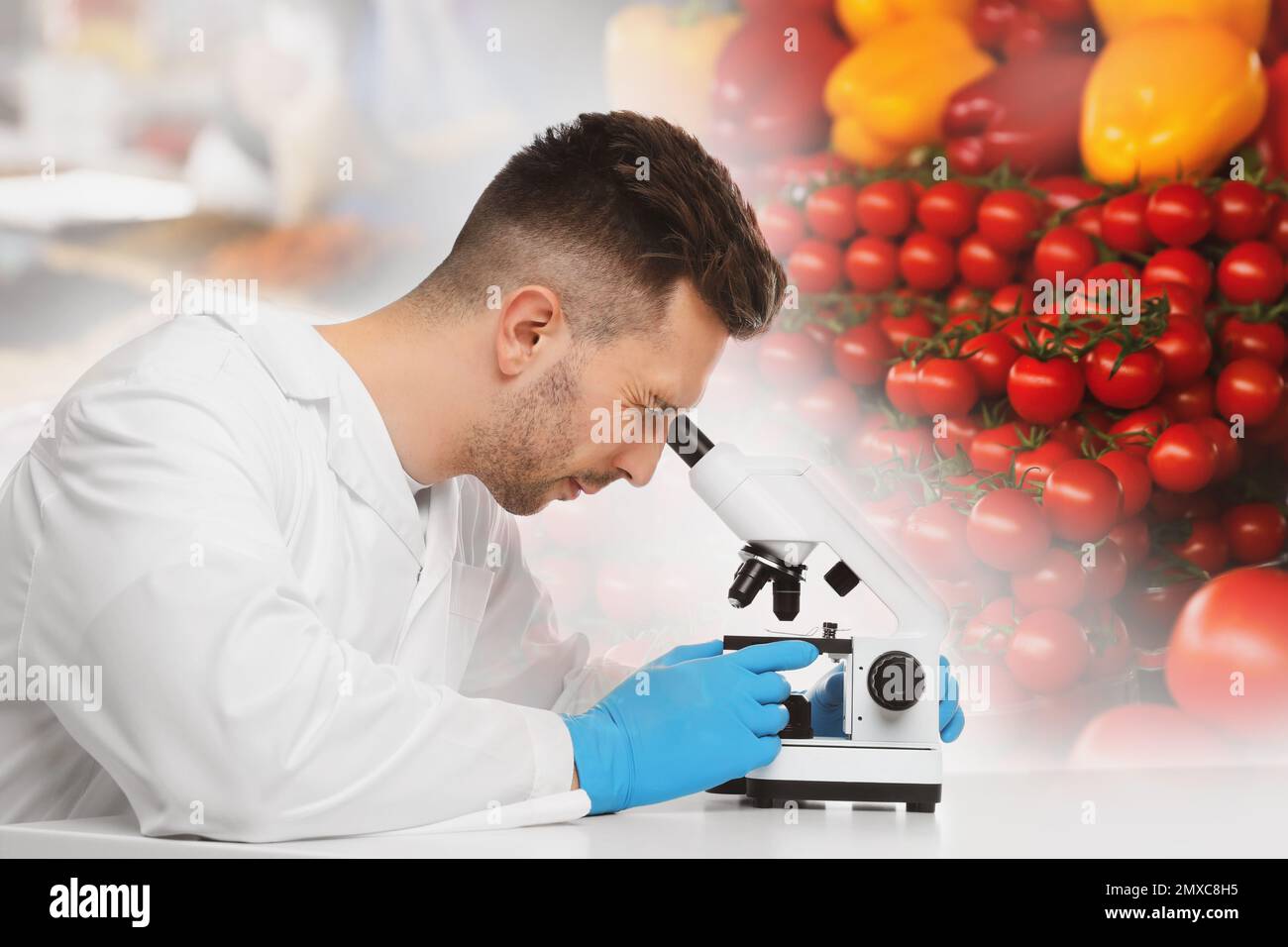 Food microbiology analysis hi-res stock photography and images - Alamy