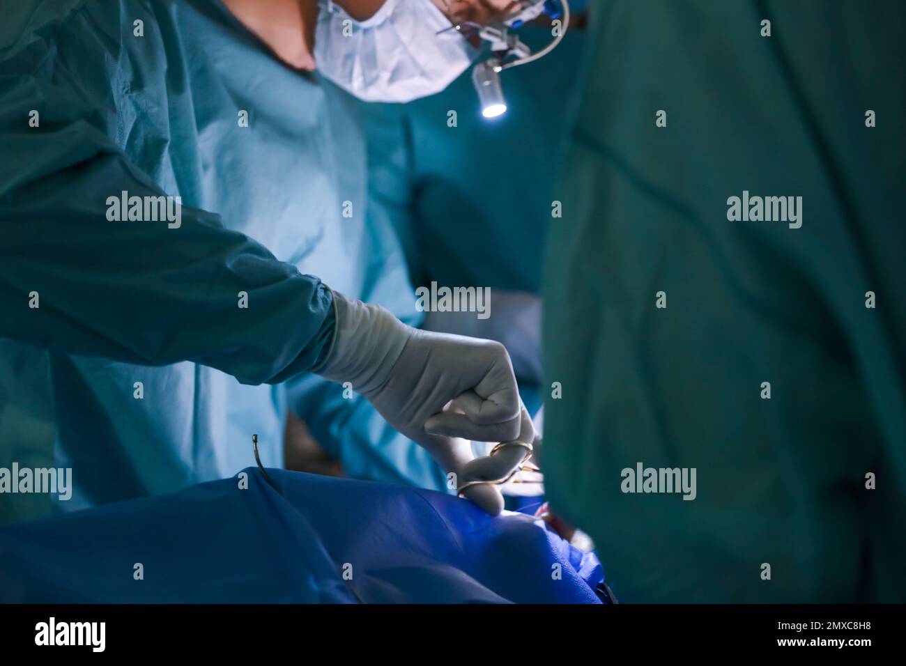Male surgeon performing surgical procedure hi-res stock photography and ...
