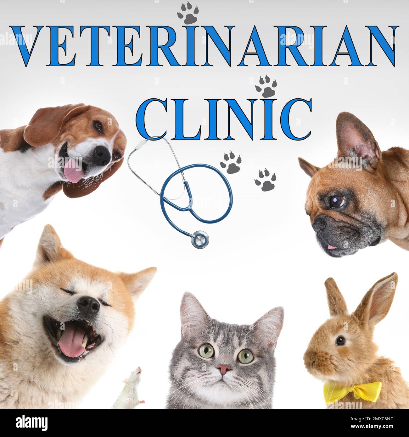 Collage with different cute pets and text VETERINARIAN CLINIC on white ...