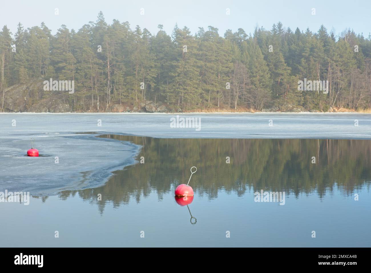Buoy in unfrozen water and in ice in winter and reflections of trees on ...