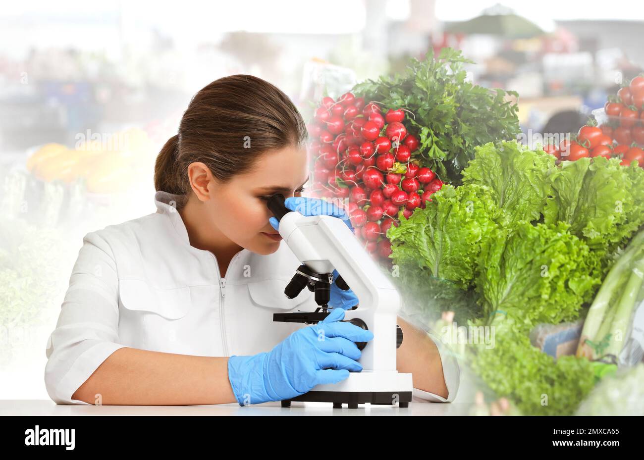 Scientist using modern microscope at table in laboratory. Food quality ...