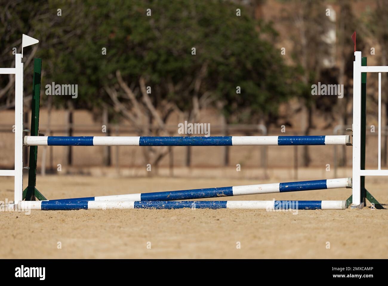 Wooden barriers for jumping horses, empty field for horse jumping event ...