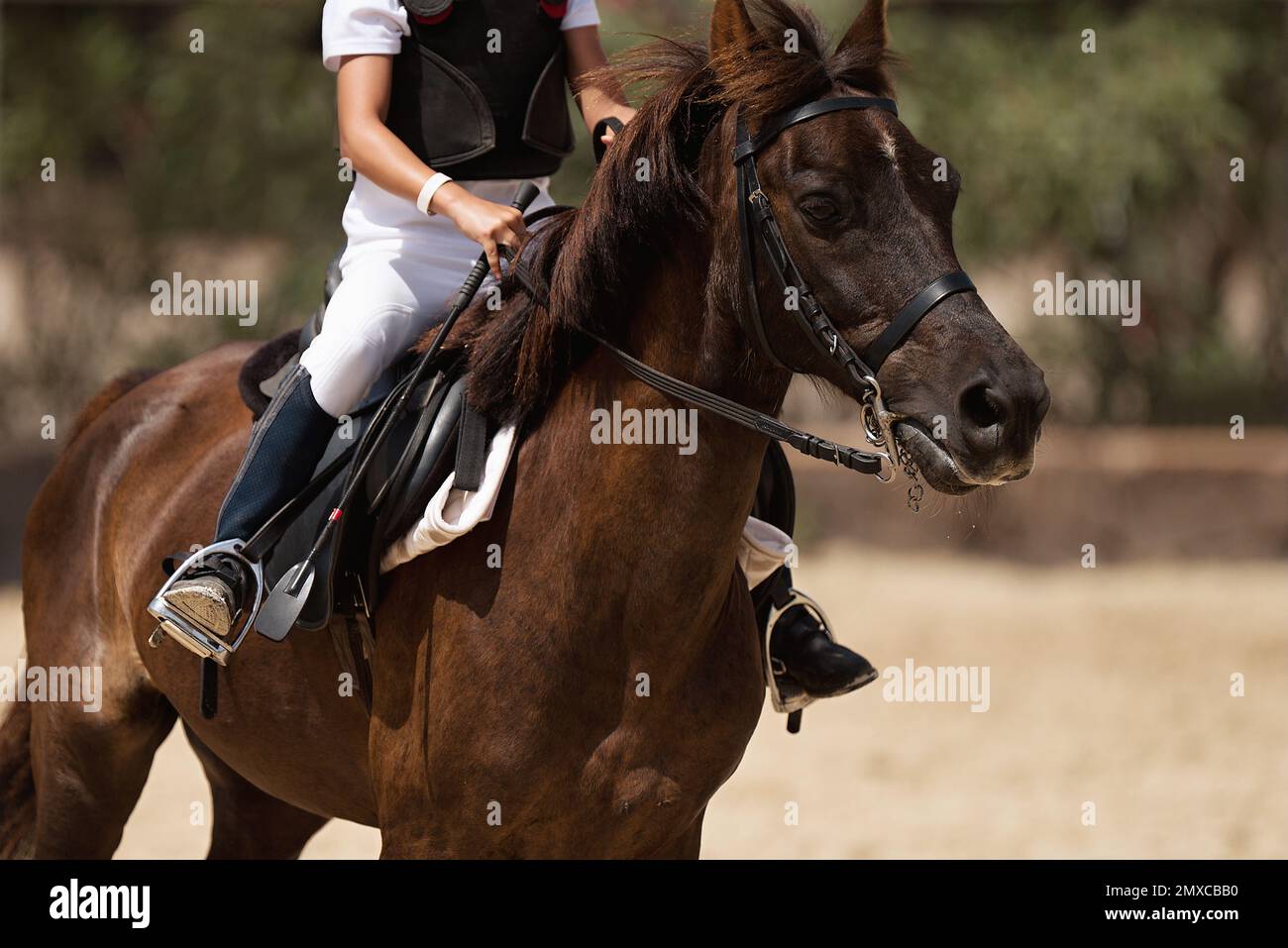 Horseback riding, equestrian child is riding a horse Stock Photo - Alamy