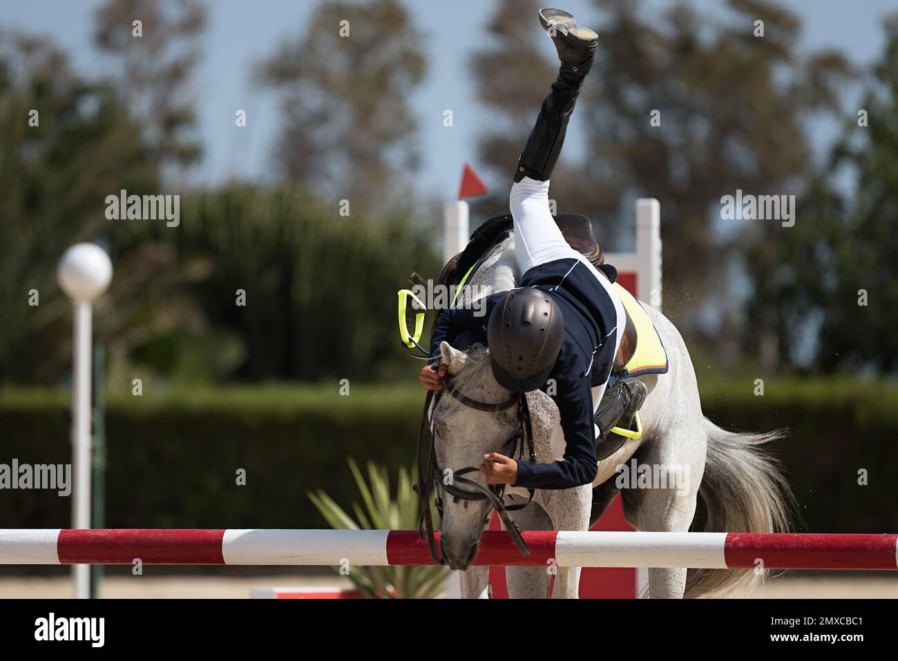 Show jumping accident hi-res stock photography and images - Alamy