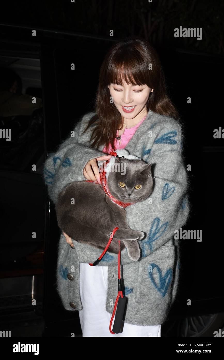 Chinese actress and singer Jenny Zhang went out in Shanghai, China, 1 ...