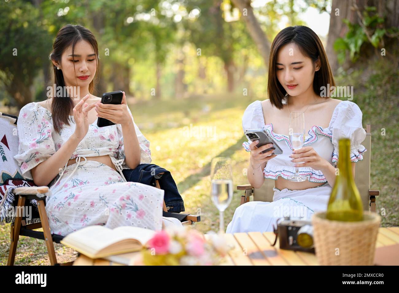 Gorgeous millennial Asian women sit on picnic chairs, focusing on using their smartphones ...