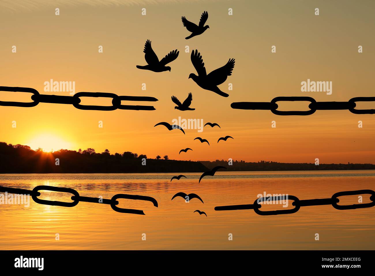 Freedom concept. Silhouettes of broken chain and birds flying outdoors ...