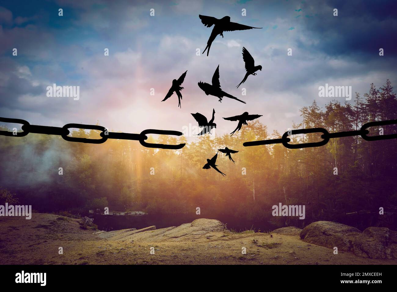 Freedom concept. Silhouettes of broken chain and birds flying in forest ...