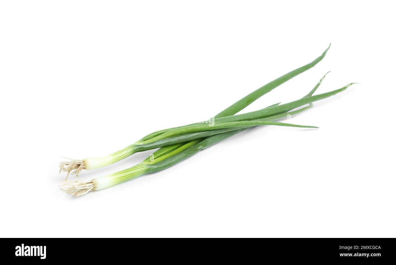 Young green onions on Cut Out Stock Images & Pictures - Alamy