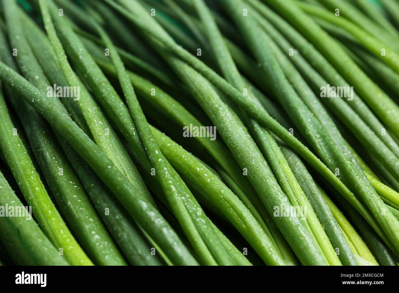 Fresh green spring onions as background, closeup Stock Photo - Alamy