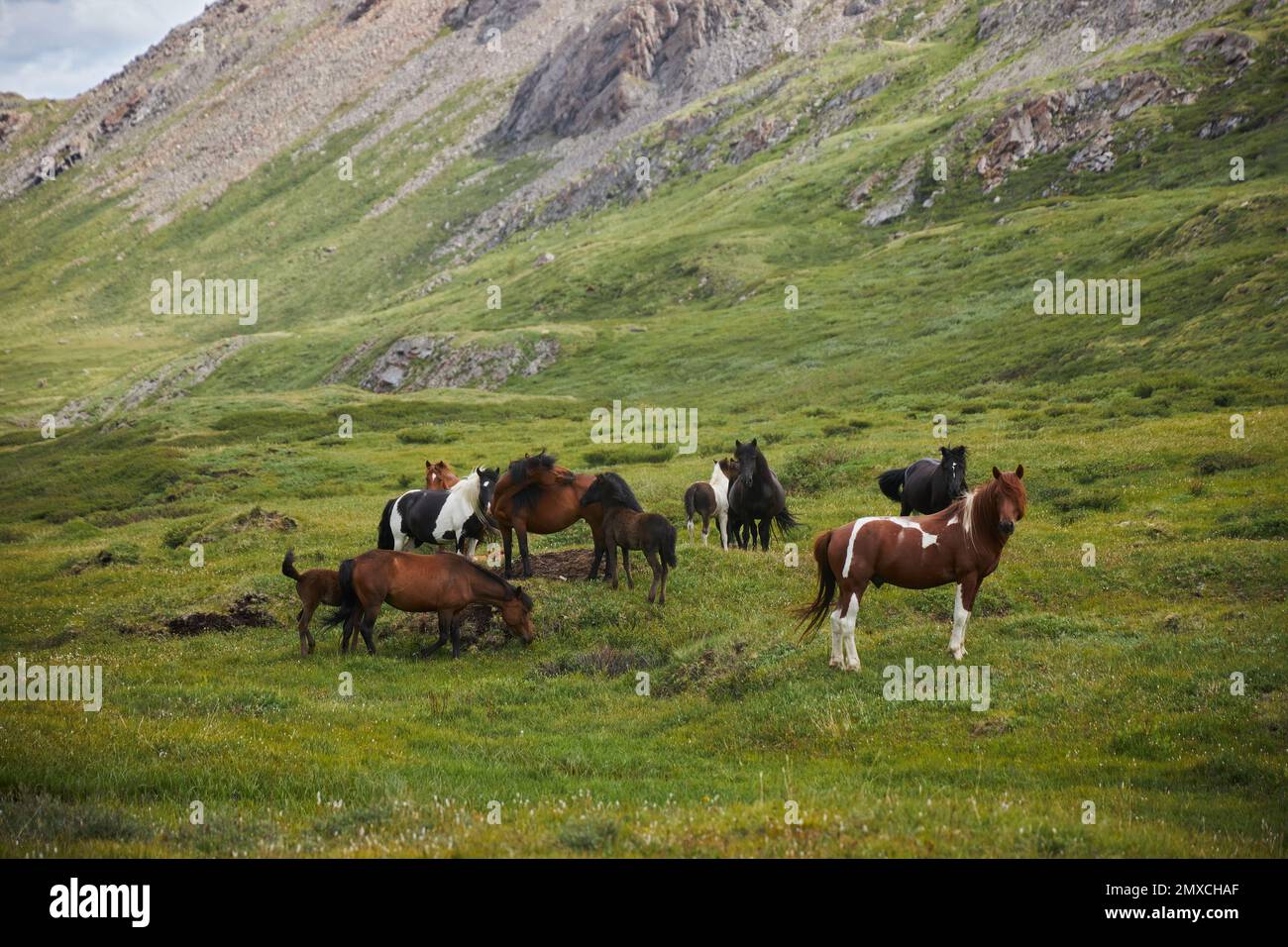 Fabulous Alpine landscape of mountain peaks, panorama of a mountain ...