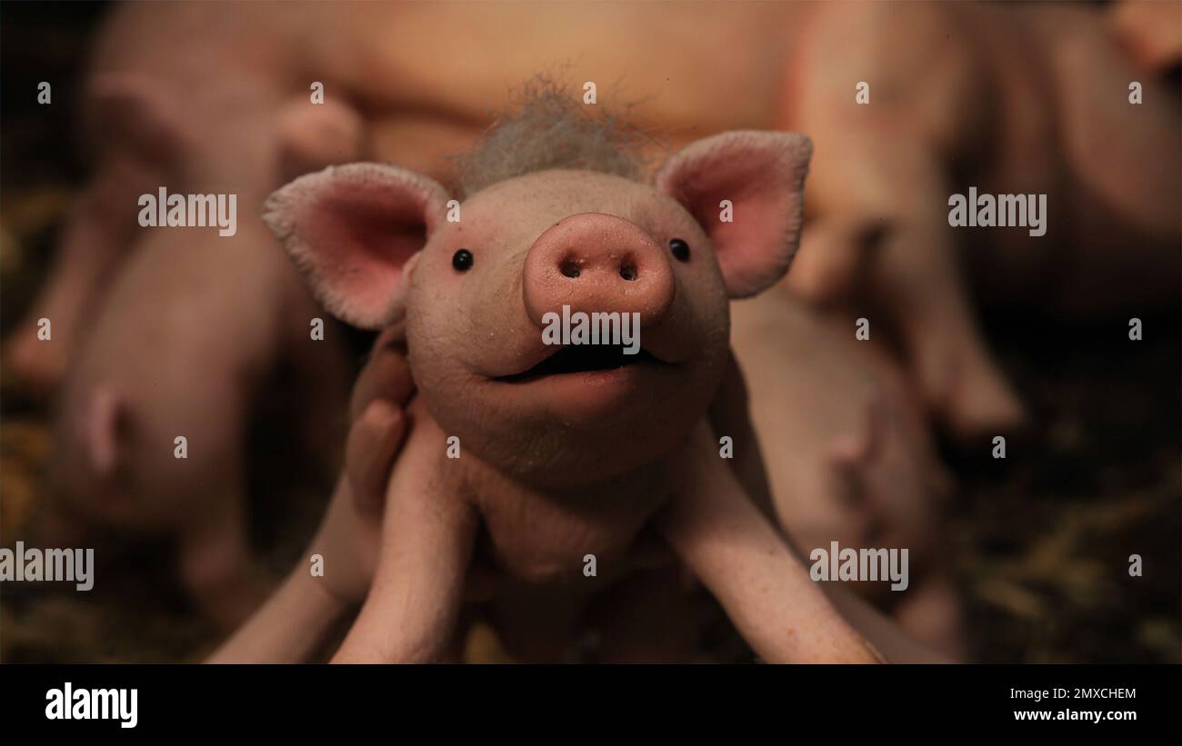 Viking pig hi-res stock photography and images - Alamy