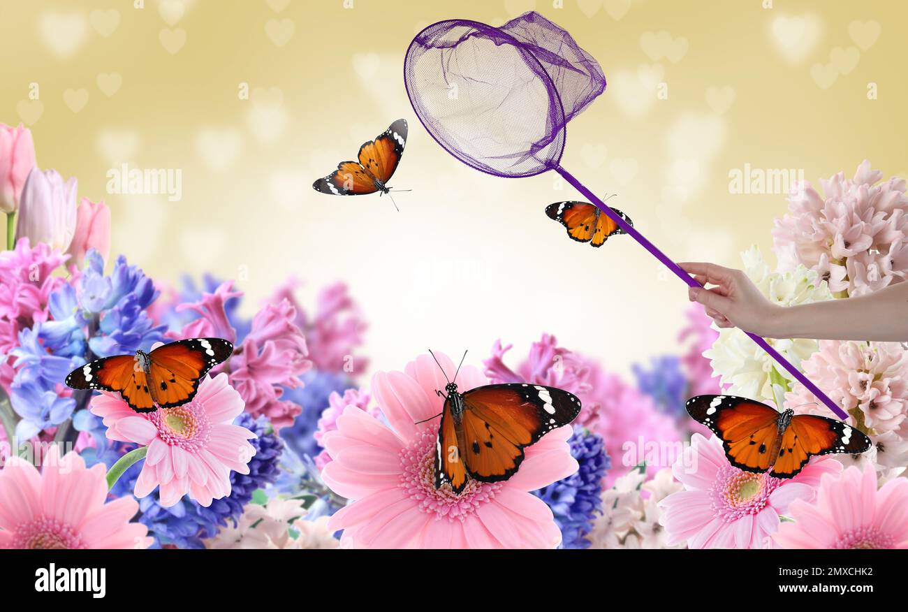 Catching butterflies hi-res stock photography and images - Alamy