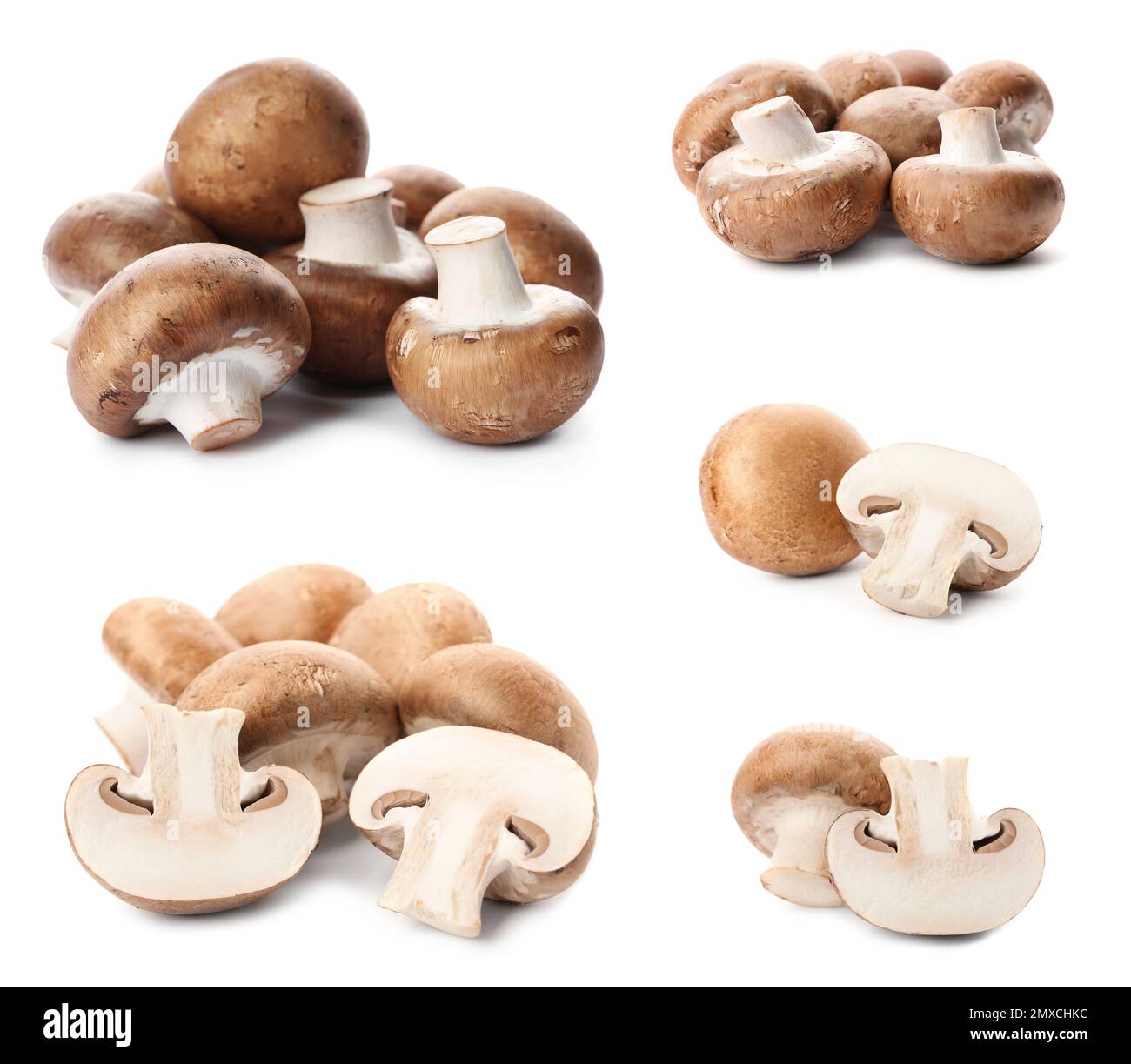 Champignon texture hi-res stock photography and images - Alamy