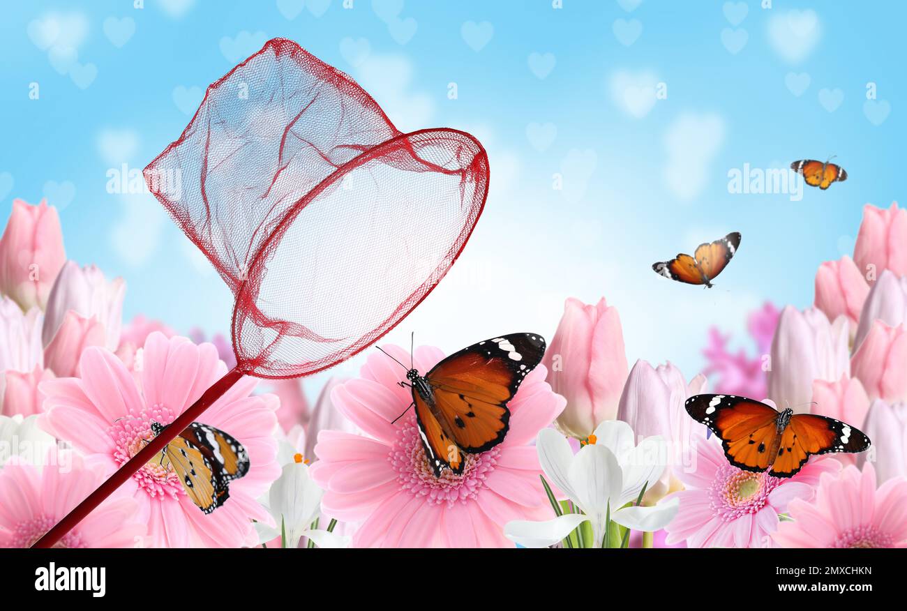 Bright net and fragile monarch butterflies in flower garden Stock Photo ...