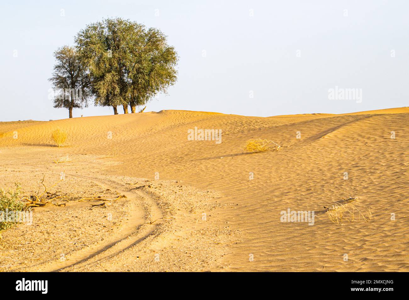 A nature landscape of the sand dunes in the desert of Saudi Arabia ...