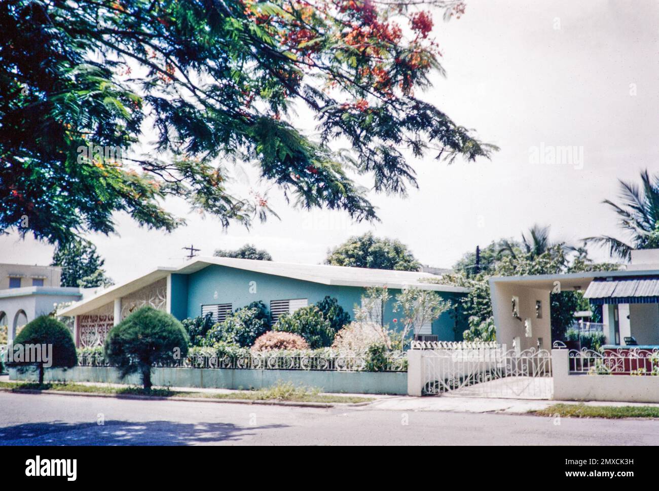 Residential area bugle housing in suburbs of San Juan, Puerto Rico 1961 ...