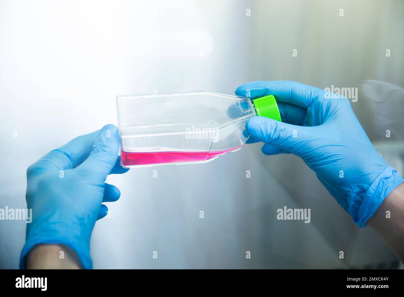 The process of research and chemical experiments with vials and ampules ...