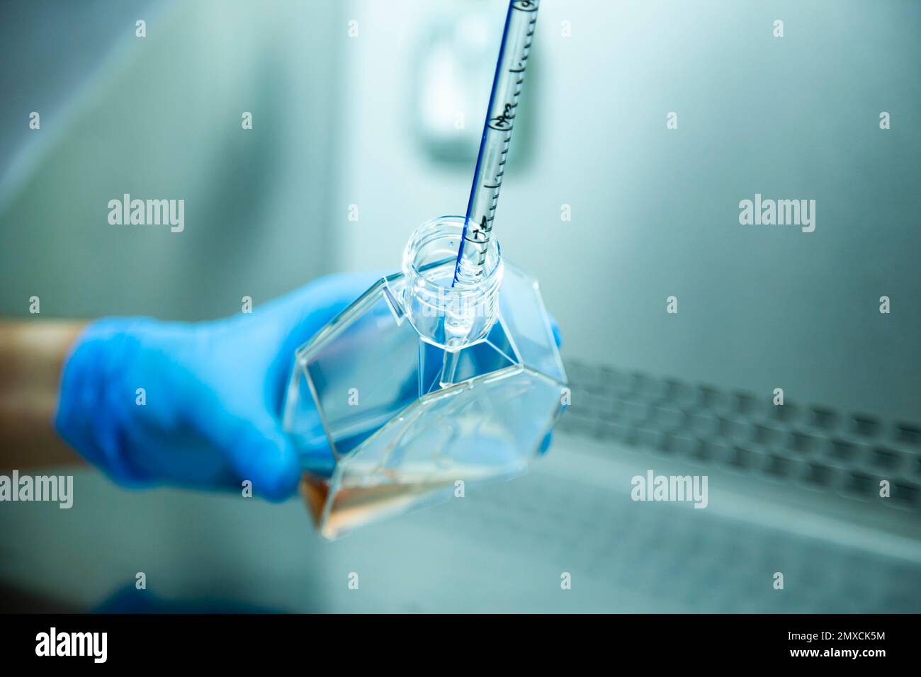 The process of research and chemical experiments with vials and ampules ...