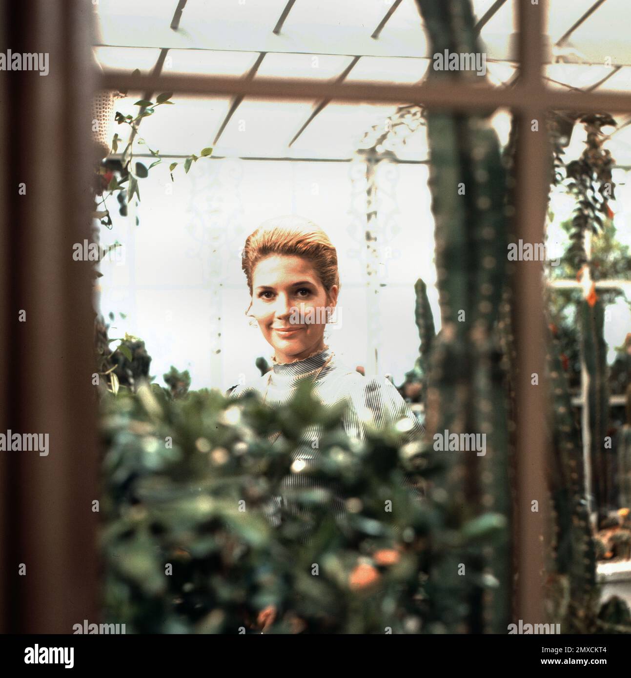 Der Schlafwagenkontrolleur, Fernsehfilm nach dem Stück "Le controleur ...