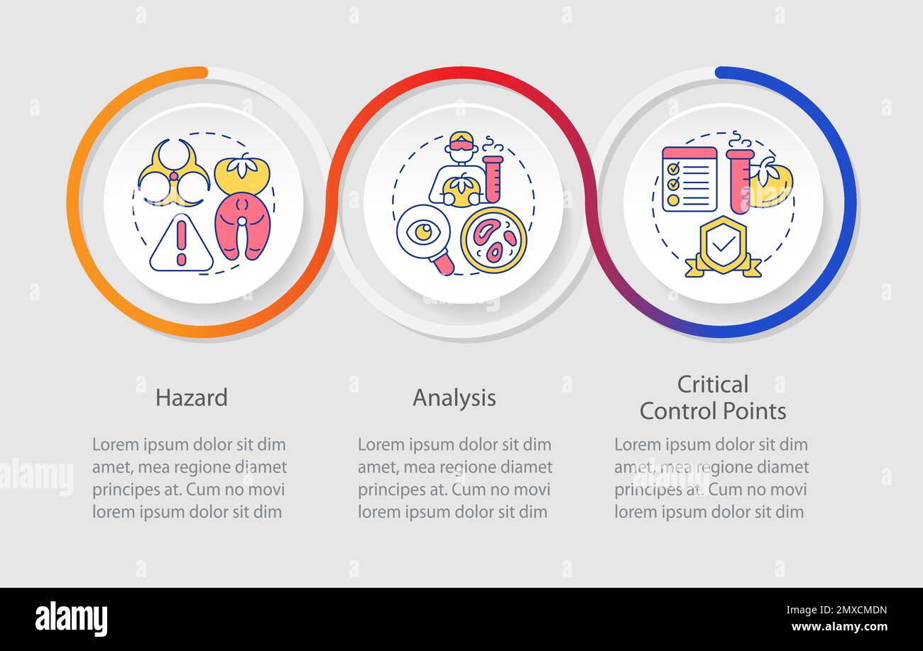 HACCP elements infographic template Stock Vector Image & Art - Alamy