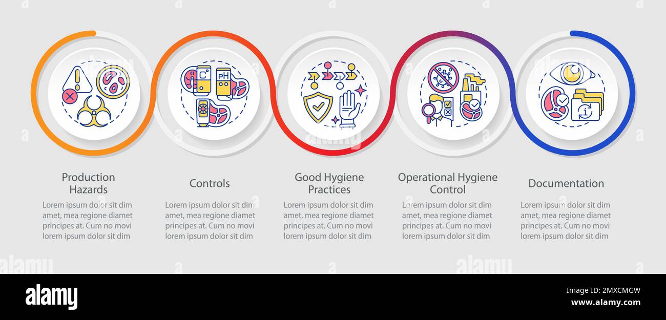 Planning approach to HACCP loop infographic template Stock Vector Image ...