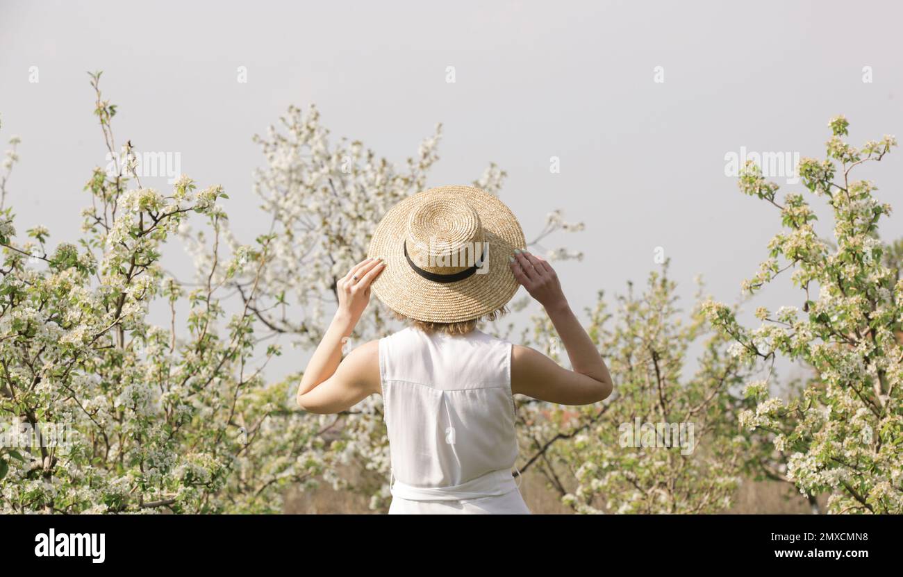 Young woman in white linen dress and straw hat enjoying nature in most beautiful flowering ...