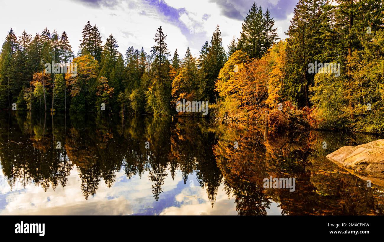 A scenic view of the fall color trees on a lakeshore in the forest with ...