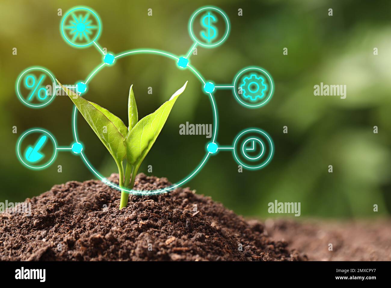 Modern technology in agriculture. Green seedling and icons Stock Photo ...
