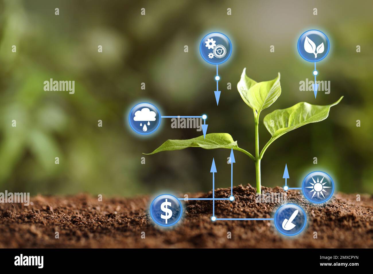 Modern technology in agriculture. Green seedling and icons Stock Photo ...